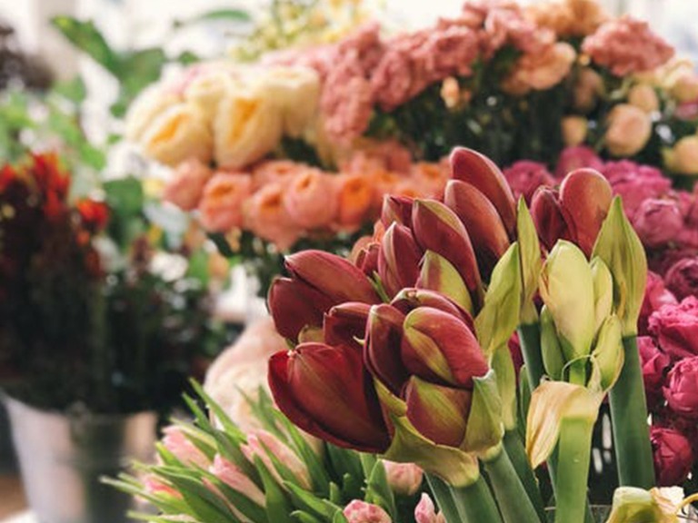 Gift Certificate at Flower Shop | Crohn's and Colitis Canada's ...