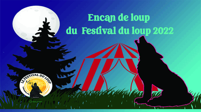 Accueil | Encan de loups peints 2022 | Followmybid