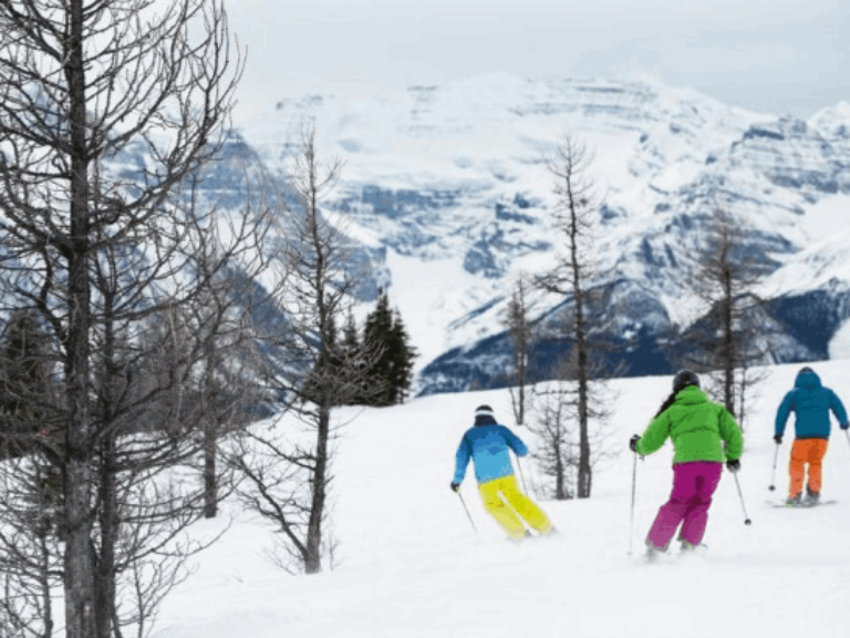 Lake Louise Plus Cards & Ski Tune | Canoe for a Cause | Followmybid