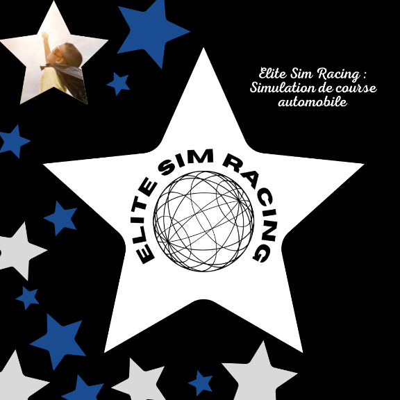 Elite Sim Racing - Simulation de course automobile | Vente aux enchères ...