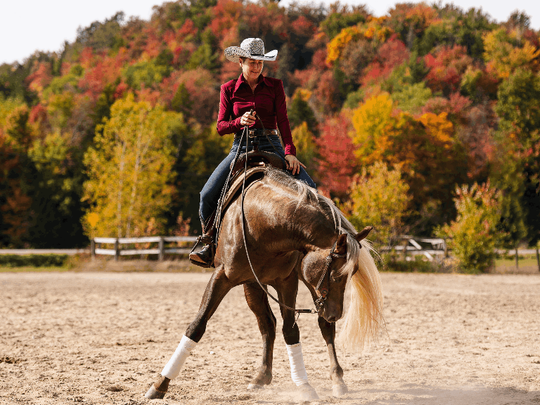 Programme d'entraînement de base / Cavalier Conscient | Encan annuel de ...