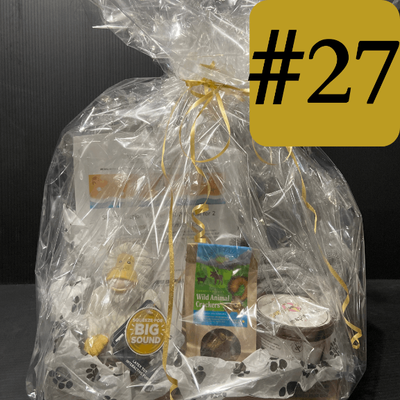 #27 - Out for a Paddle | Fall Fundraiser | Followmybid