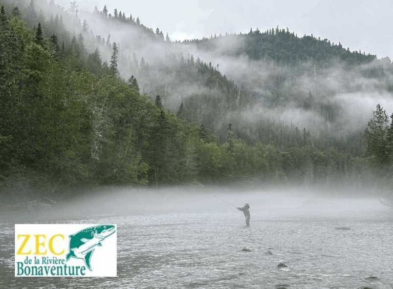 Pêche au saumon / Rivière Bonaventure | Saumon Mitis | Followmybid