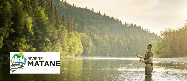 Lots de l'encan | Saumon Mitis | Followmybid