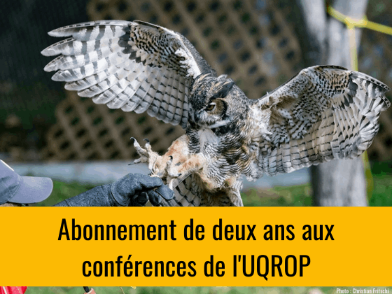Abonnement de deux ans aux conférences de l'UQROP | Chouette encan 2024 ...